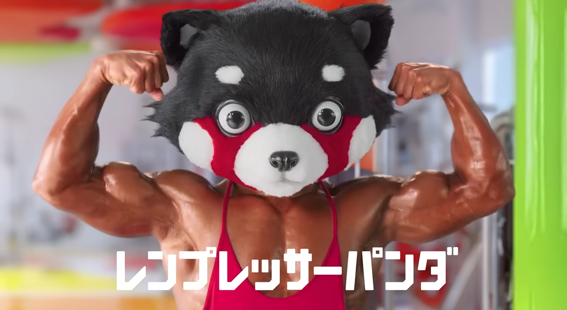 【CM】REMPRESA(レンプレッサ) WEB CM 「プロテインダンス篇」へ出演 | ALL OUT（オールアウト）公式HP：マッスルカフェ主催